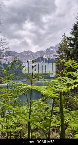 View of lake seen through foliage , Lakes & ponds, Tichnor Brothers ...