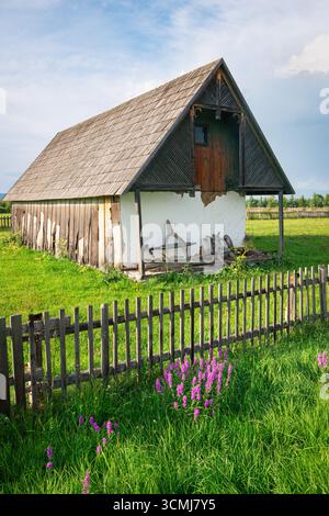 A lush green grass fields with pink flower bushes in rural area near a ...