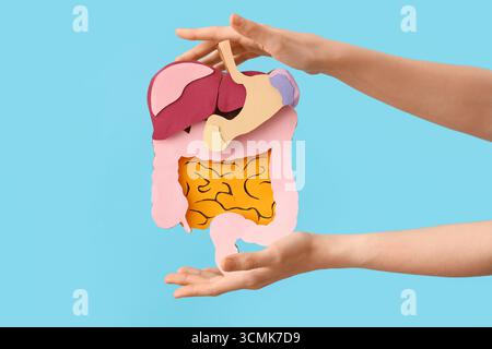 Woman with paper digestive system on blue background Stock Photo - Alamy
