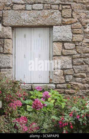 Window with hydrangeas in Brittany Stock Photo - Alamy