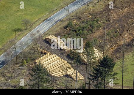 Aerial view on the wood storage by the docks Stock Photo - Alamy