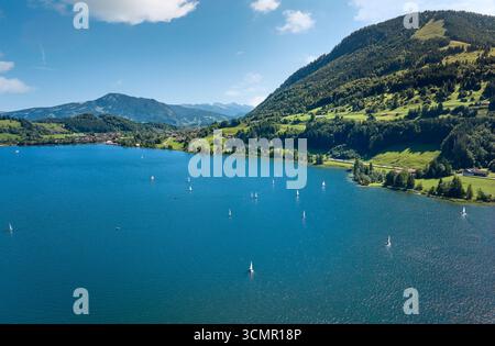 Cattle at Upper Allgaeu near Immenstadt in Bavaria, Germany Stock Photo ...