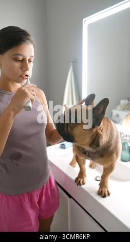 Happy young woman smiles while petting cute small domestic cat on ...