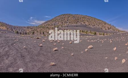 Volcanic cinder hills in Coconino National Forest near Sunset Crater ...