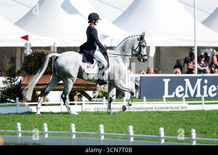 19 September 2025, Great Britain, Gibraltar: The lettering "HM Customs ...