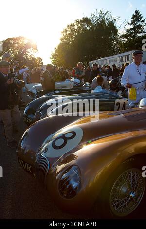 1952 Jaguar C-type as driven by Jenson Button / Alex Buncombe in the ...