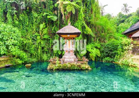 Pond at a Hindu Balinese water temple in Bali, Indonesia Stock Photo ...