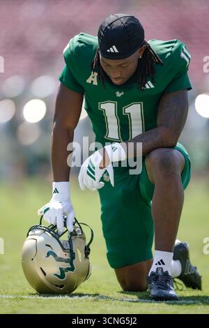 South Florida wide receiver Keshaun Singleton (11) catches a pass for a ...