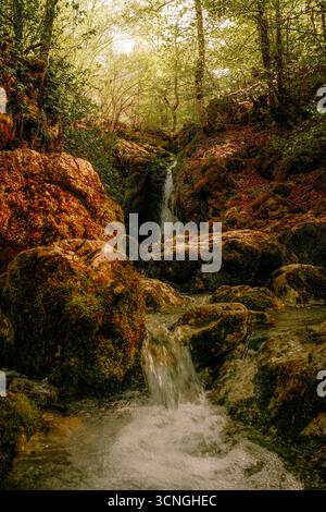 A small waterfall flowing through a forest filled with green trees ...