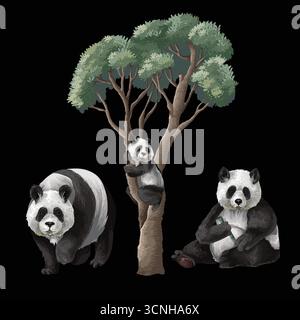 Detailed Isolated Panda Trio Surrounded by Tropical Jungle Foliage ...
