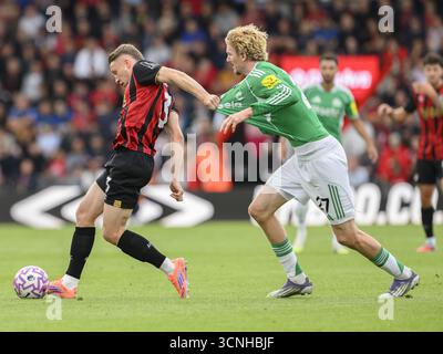 Newcastle United's Nick Woltemade battles for the ball with Sunderland ...