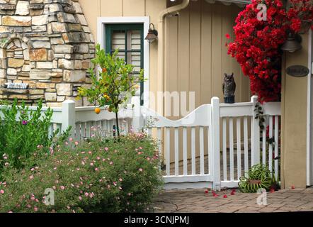 A lemon tree on private property on Balboa Island, Newport Beach ...