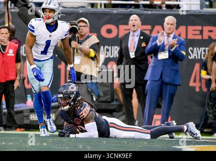 Chicago Bears middle linebacker Tremaine Edmunds (49) looks on during ...