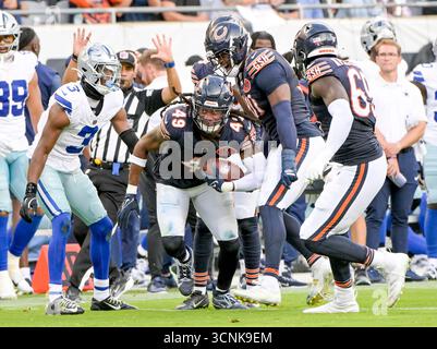 Chicago Bears middle linebacker Tremaine Edmunds (49) looks on during ...