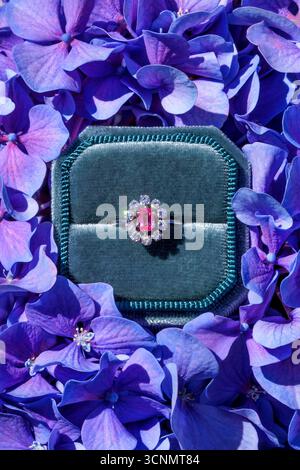 White gold red ruby ring isolated on black background Stock Photo - Alamy