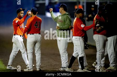 ROTTERDAM - Dutch baseball players in action against Croatia during the ...