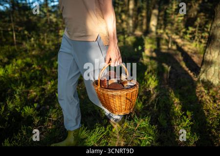 Woman with wicker basket full of porcini walking in autumn forest ...
