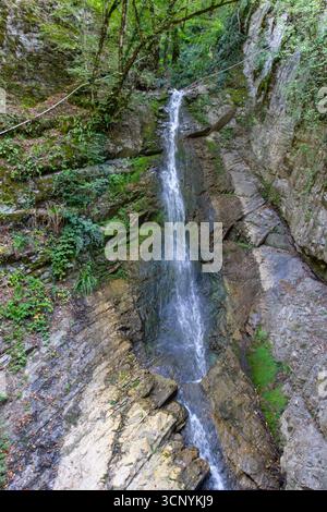 Lush waterfall cascades down a rocky cliff surrounded by dense green ...