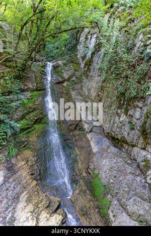 Lush waterfall cascades down a rocky cliff surrounded by dense green ...