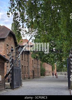 Visitors walk past exhibit buildings at the Great American State Fair ...