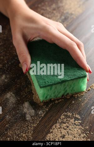 Woman hand wiping dust off green leaves of Washingtonia filifera Stock ...