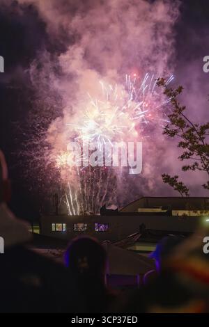 A colorful fireworks in the sky during nighttime Stock Photo - Alamy