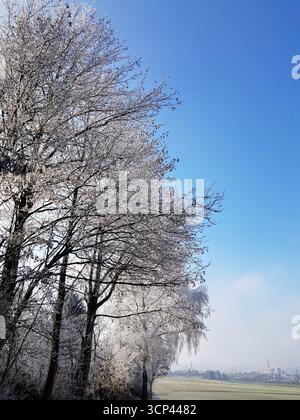 sunny winter landscape, shadow play on snow, white snow, winter day ...