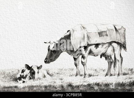 Lying and standing cow Stock Photo - Alamy