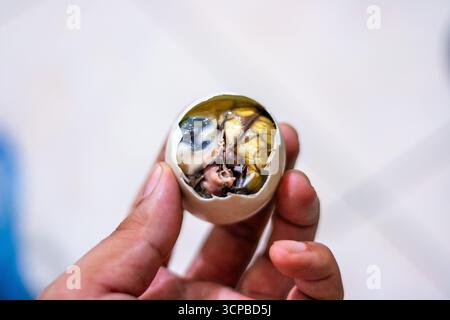 Balut egg : boiled duck embryo, fertilized eggs, asian aphrodisiac ...