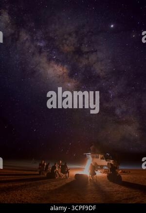 The Dark Emu in the Milky Way night sky filled with stars and light ...