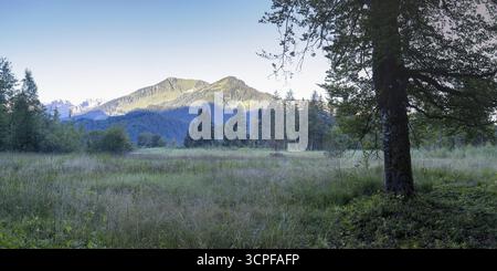 Moor at sunrise in spring, moor pond near Oberstdorf, behind it the ...