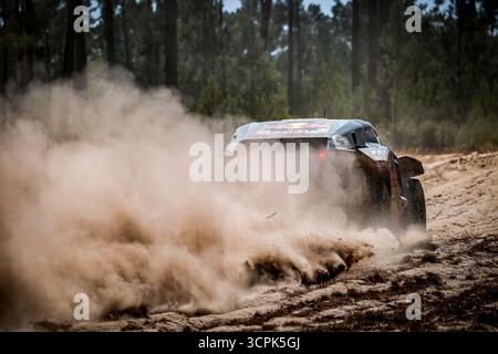 225 SAINZ Carlos (esp), CRUZ Lucas (esp), Ford M-Sport, Ford, Ultimate ...