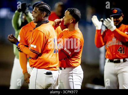 ROTTERDAM - Dutch players during the semi-final at the World Handball ...