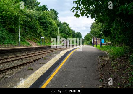 A view of a railway station surrounded by nature at the sunset Stock ...