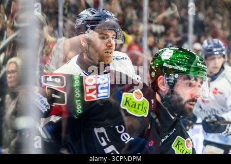 Josh Melnick (Straubing Tigers, #37) / Portrait / Portrait GER, EHC Red ...