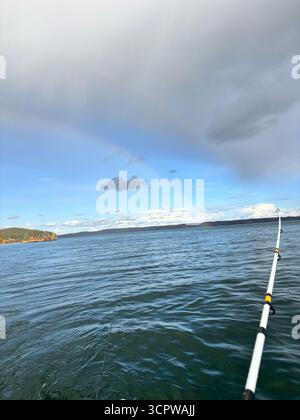 A low-angle of rainbow over cloudy sky trees around Stock Photo - Alamy