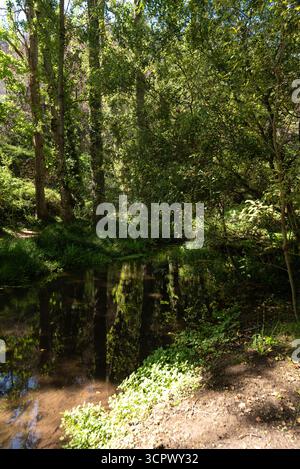 Encircled by towering trees and tranquil waters,this quaint church,in ...