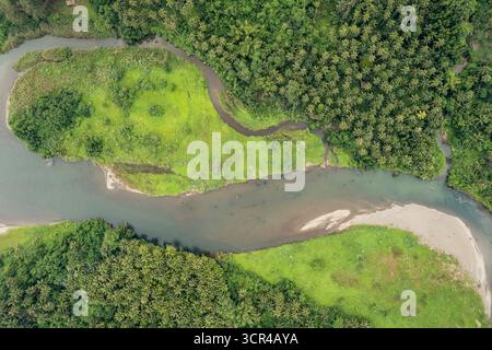 View of the river surrounded by dense vegetation Stock Photo - Alamy