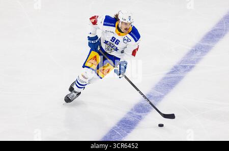 Daniel Vozenilek #96 (EV Zug) - January 30, 2026 - National League ...