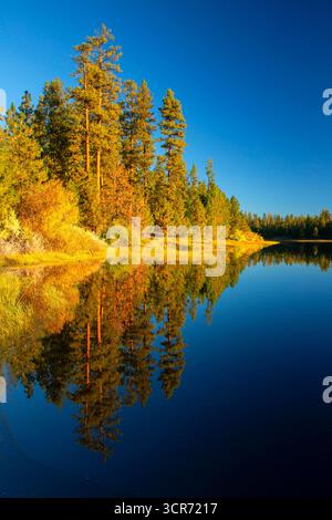 Delintment Lake, Ochoco National Forest, Oregon Stock Photo - Alamy