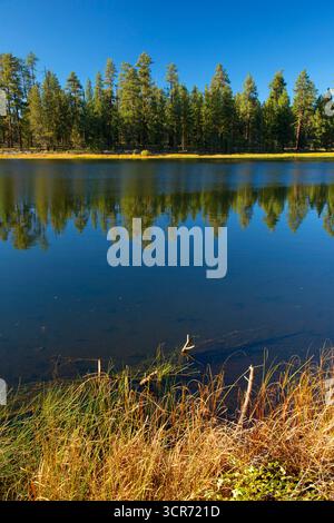 Delintment Lake, Ochoco National Forest, Oregon Stock Photo - Alamy