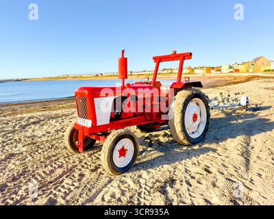 Agricultural tractor parked on sandy tropical beach surrounded by palm ...