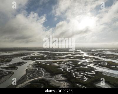 Network of channels and streams at low tide, in the marshland of the ...