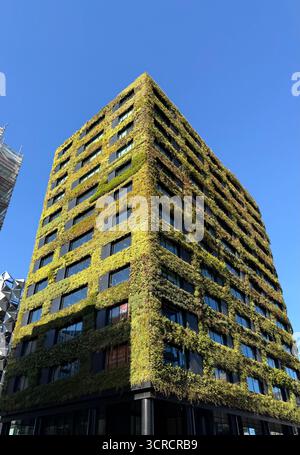 Eden green office building in Manchester / Salford is part of the New ...