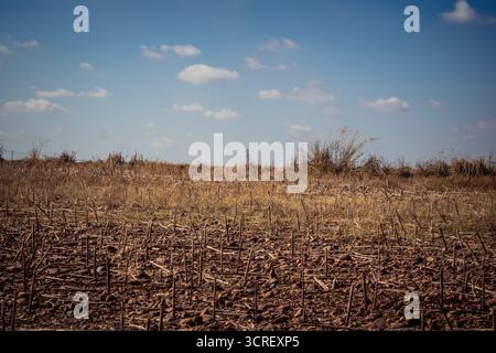 Carmona, Spain, September 30, 2025 Farmer in his Spanish ranch in the ...