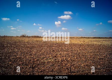 Carmona, Spain, September 30, 2025 Farmer in his Spanish ranch in the ...