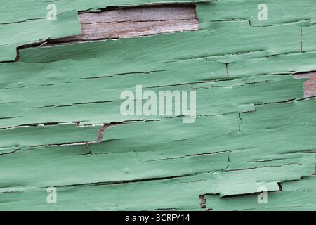 rustic wood with multiple colours of paint peeling and flaking ...