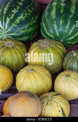 Close-up of watermelons on a marketplace stall Stock Photo - Alamy