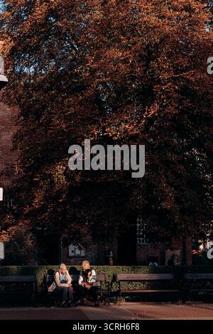 Senior people near light wall in room Stock Photo - Alamy