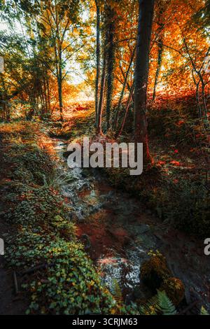 Vertical shot of a river flowing between two rocky mountains Stock ...